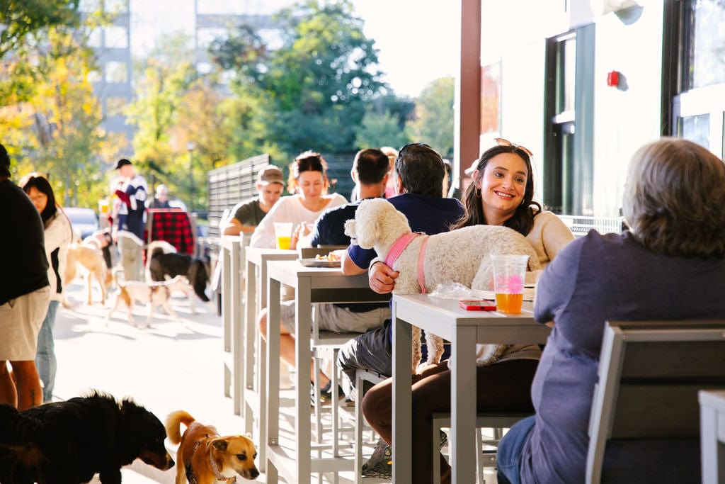 Bark Social in Columbia, Maryland